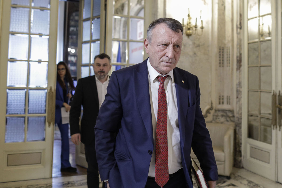 SURSE: Afacerea cu stuful din Deltă a familiei baronului PSD Paul ...
