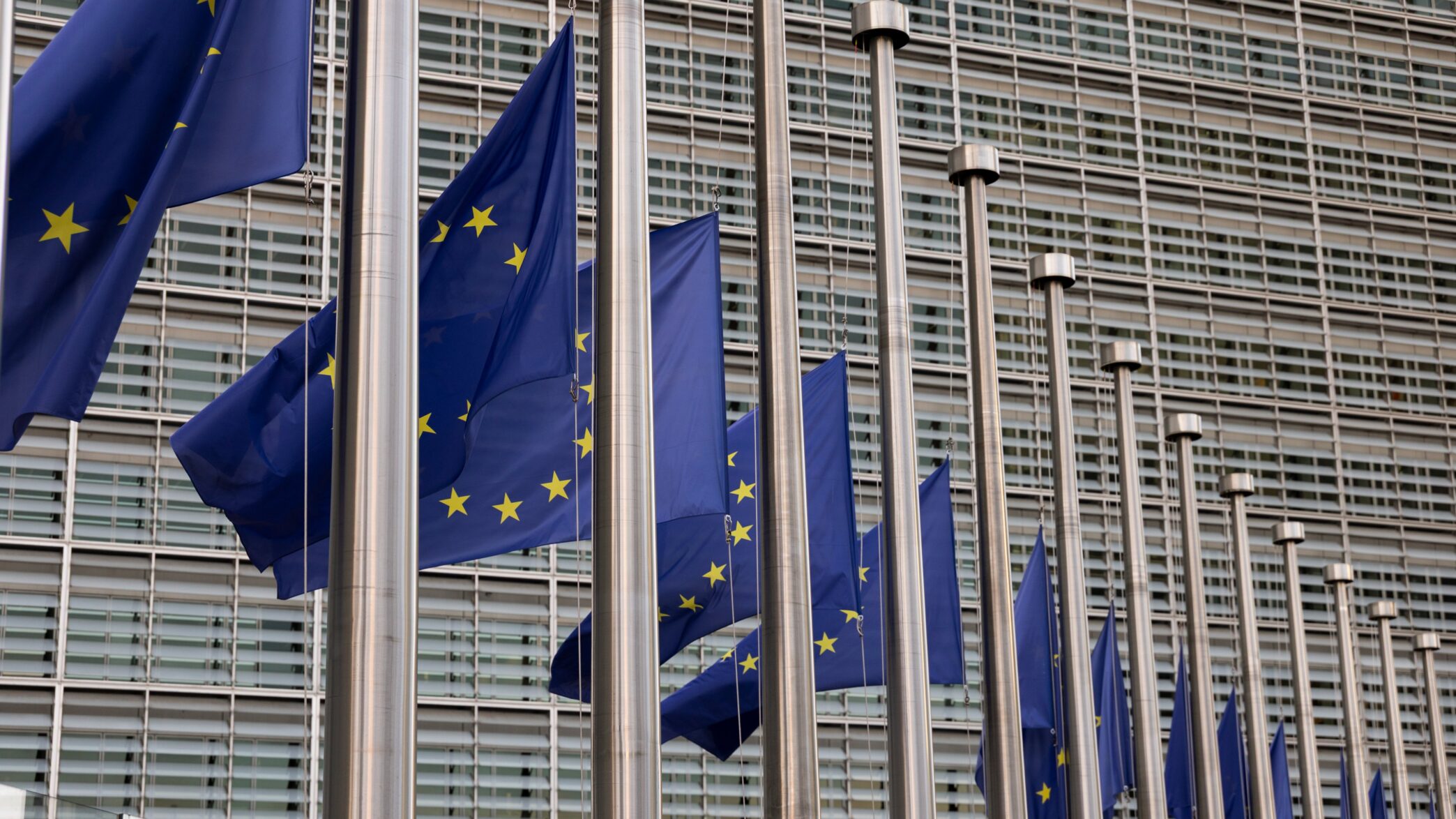 PROFIL Cine e Ramona Dinu, fost senator USR de Constanța, noul ...